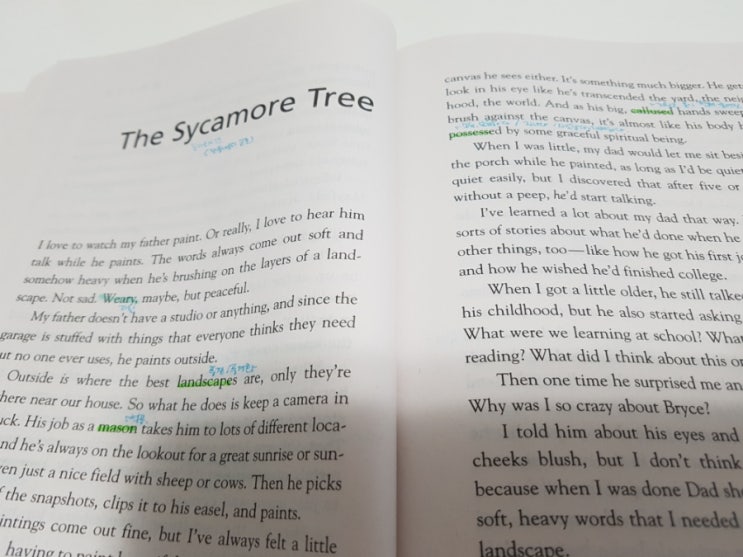 [원서 읽기]Flipped 단어정리 (4)- The Sycamore Tree : 네이버 블로그