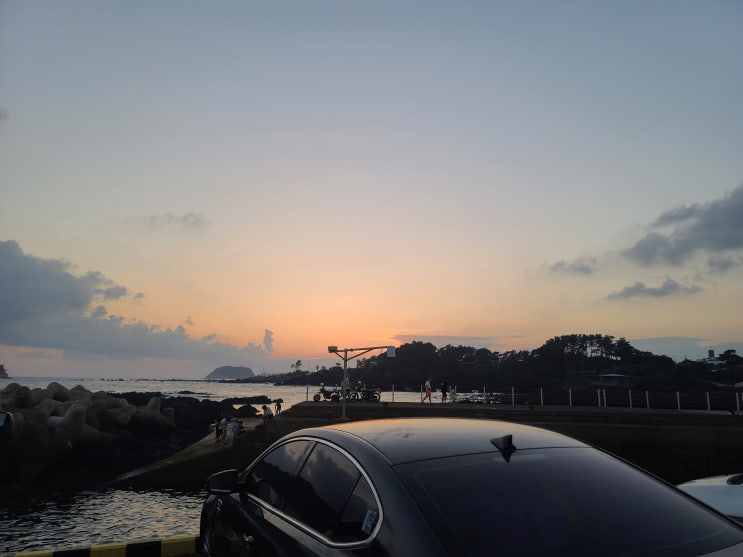 서귀포 보목항 섶섬 할로윈 나이트 다이빙 : 네이버 블로그