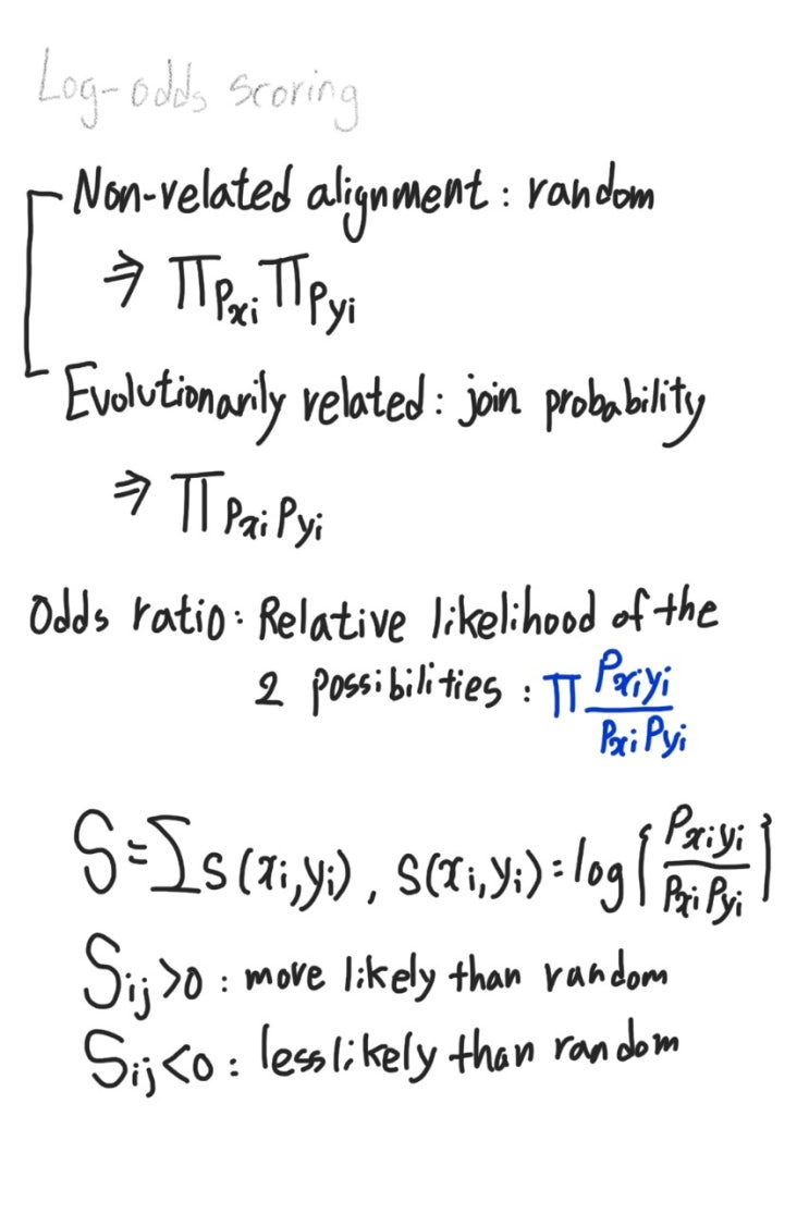 Pairwise Sequence Alignment의 Scoring matrix(PAM Matrix, BLOSUM Matrix ...