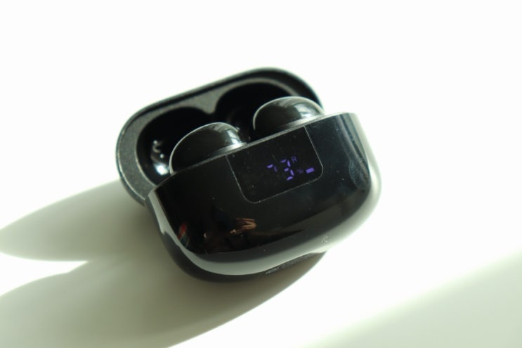 블루투스이어폰, 픽스 버즈 F2 블루투스 이어폰 XWS-102 후기 : 네이버 블로그