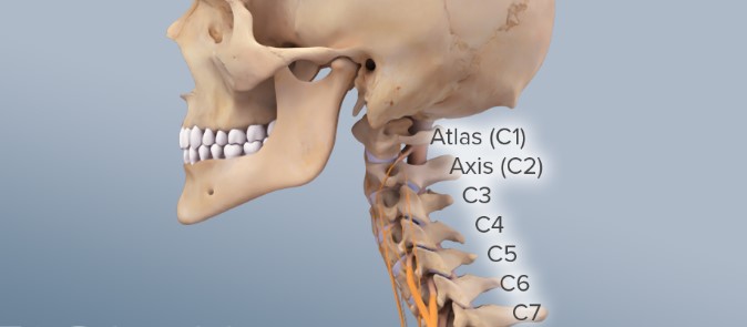 AO Joint & AA Joint : 네이버 블로그