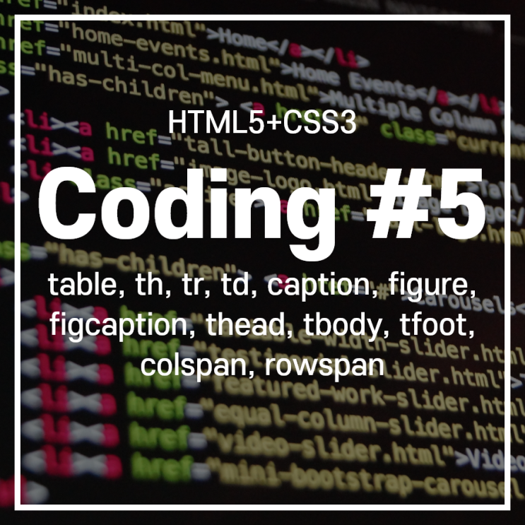 #5 HTML 표 만드는 법, table, tr, th, td, thead, tbody, tfoot, caption ...