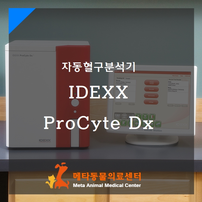 자동혈구분석기- 24시 메타동물의료센터. IDEXX Procyte Dx. 아이덱스 프로사이트. 동탄 오산 수원 화성 동물병원 ...