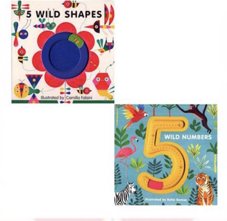 5 wild shapes 5 wild numbers : 네이버 블로그