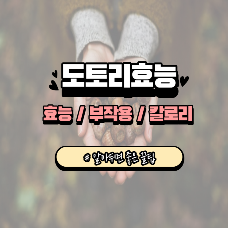 도토리 효능 부작용칼로리묵만드는법 네이버 블로그