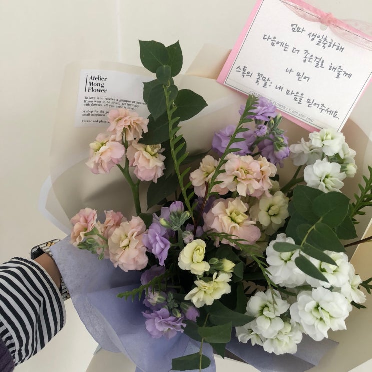 노원역꽃집 아뜰리에몽플라워 스톡꽃다발 스톡크꽃다발 네이버 블로그