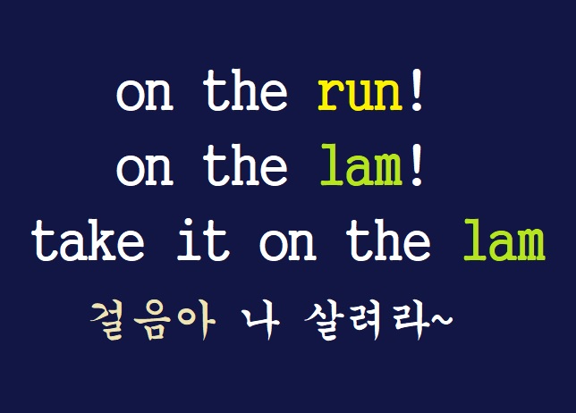 [영어 숙어] on the run 세 가지 의미! take it on the lam! 걸음아 날 살려라! : 네이버 블로그