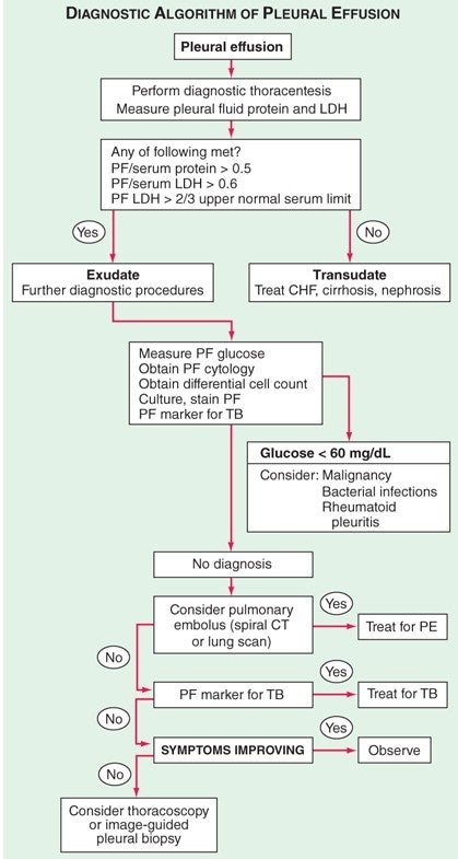 Light's Criteria(exudate vs transudate) : 네이버 블로그