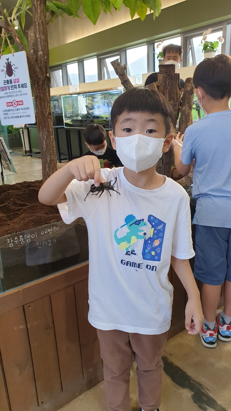 아이와 가볼 만한 곳4 용인곤충테마파크예약 주차 후기 네이버 블로그