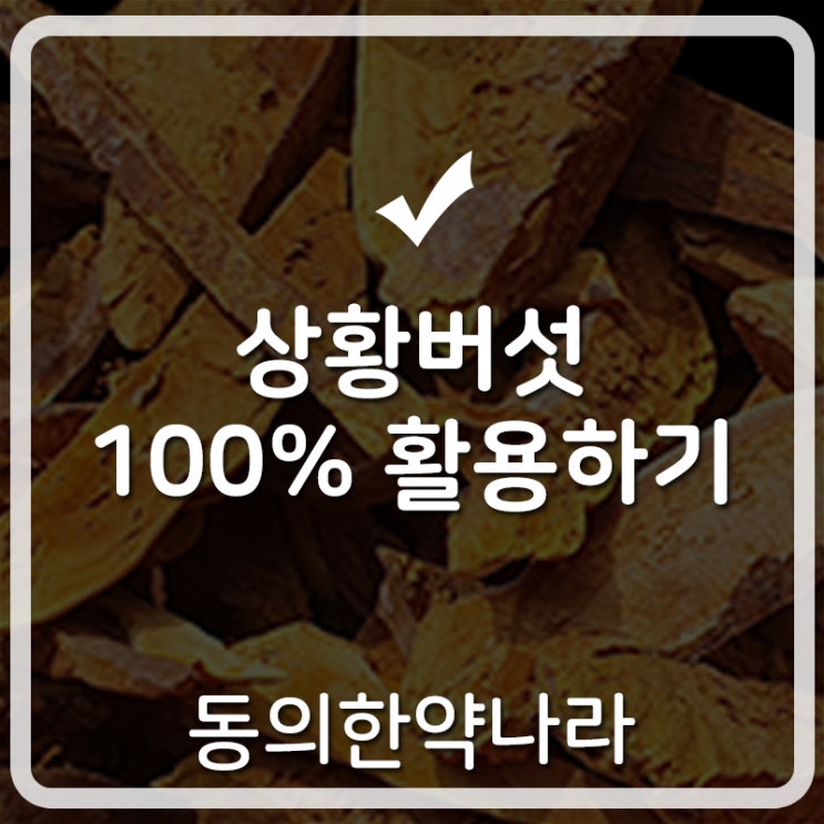 상황버섯 먹는 방법 Aka활용법 네이버 블로그