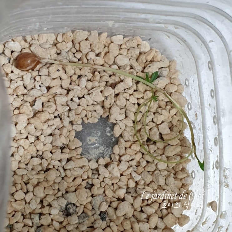 니가 왜 거기서 나와!!! : 네이버 블로그