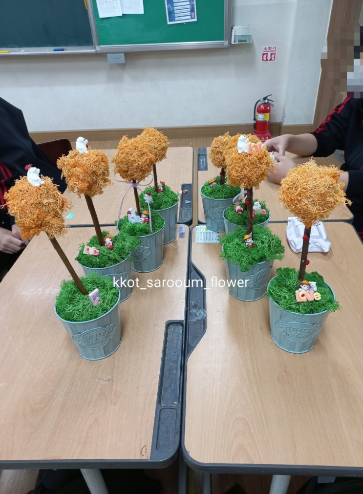 공기정화 스칸디아모스 만들기 진로체험 원예 수업 첨단지구 학교 자유학기제 단체 광주 전남 꽃 수업 꽃사로움 광주 플로리스트체험