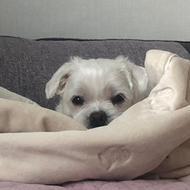 211022 : 네이버 블로그