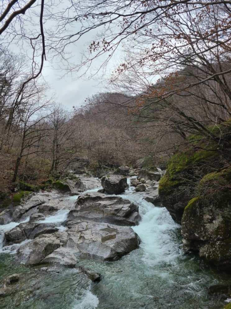 지리산 뱀사골 신선길 트레킹(뱀사골탐방안내소~선인대~요룡대~와운마을~지리산 천년송~원점) : 네이버 블로그