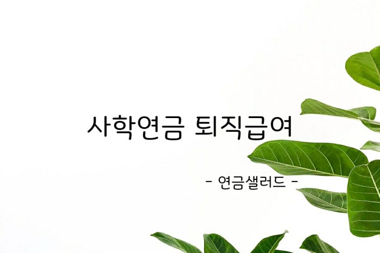 사학연금의 모든 것 2탄feat퇴직급여 네이버 블로그