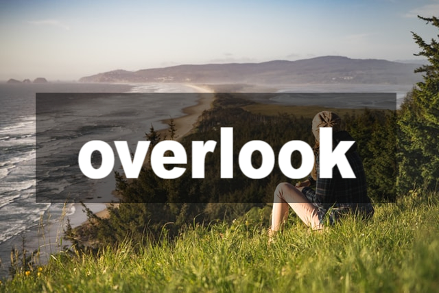 영어 공부하기-구동사 look over와 영단어 overlook을 공부해 보기 : 네이버 블로그
