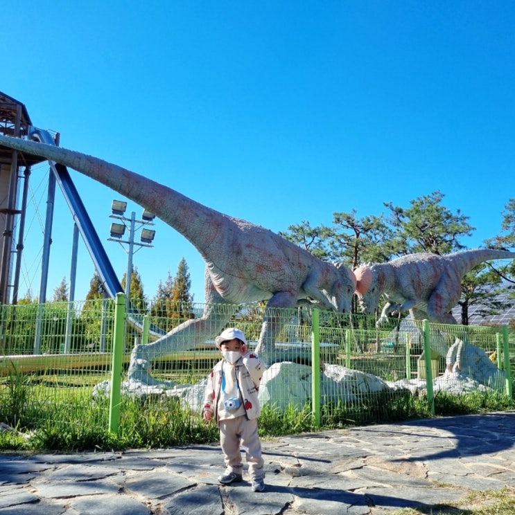 전북 익산 여행 국립익산박물관 천만송이 국화축제 익산공룡박물관 공룡테마공원 금마 서동공원 한옥팬션 금마관 네이버 블로그
