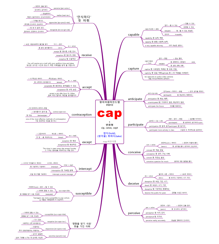 영어어원 cap(변화형 cip, ceive, cept) 들어간 단어 마인드맵으로 정리 : 네이버 블로그