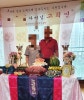 셀프 칠순상차림대여 감사장현수막제작까지 완벽준비 네이버 블로그