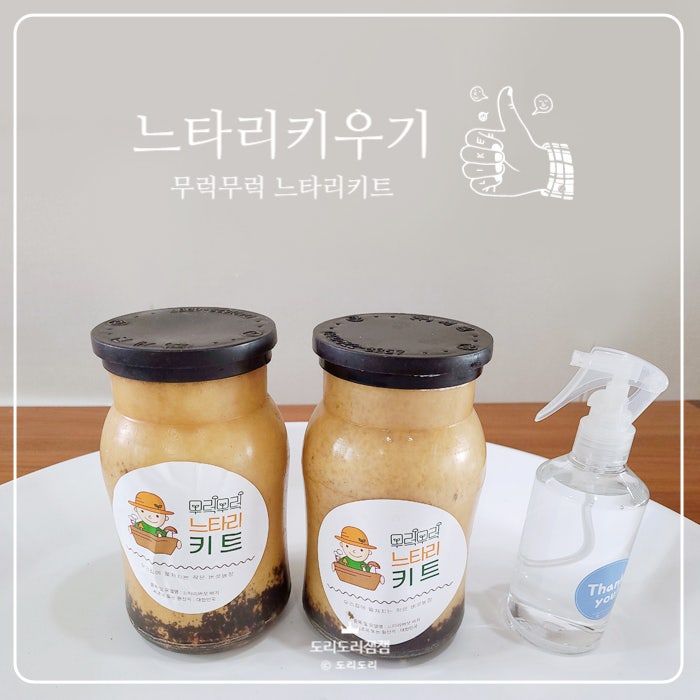 느타리버섯 키우기 무럭무럭 느타리버섯 키트 Feat 꼼지락발전소 재배방법 재배환경 성장 관찰일기 네이버 블로그