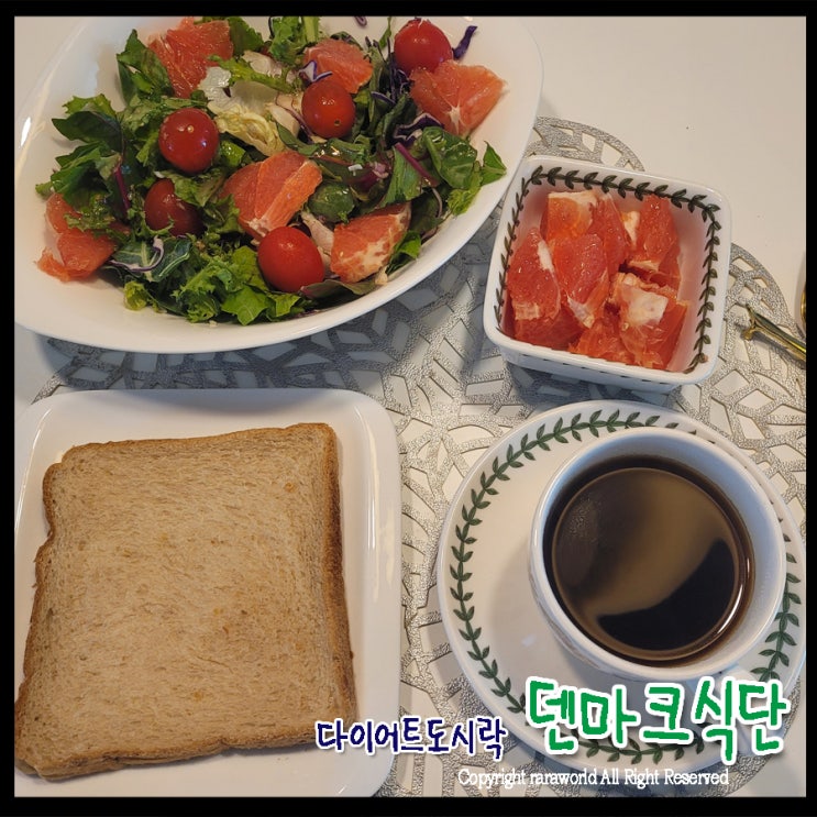 덴마크식단 슬림쿡 다이어트도시락 네이버 블로그