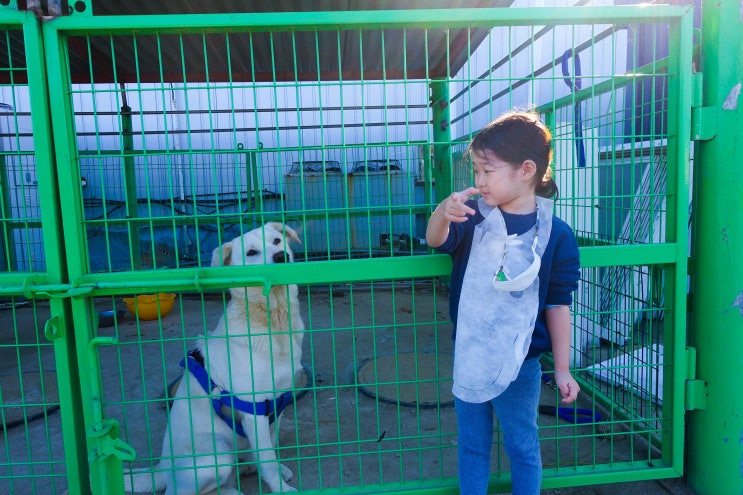 서울 근교 아이랑 가기 좋은 곳 이인버섯농장에서 이색 농장체험 즐기기♪ 네이버 블로그
