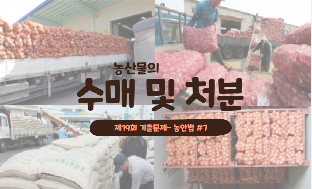 제19회 기출문제 풀고 경매사 되기 농안법 7번 농산물의 수매 및 처분에 관하여 알아보아요~ 네이버 블로그