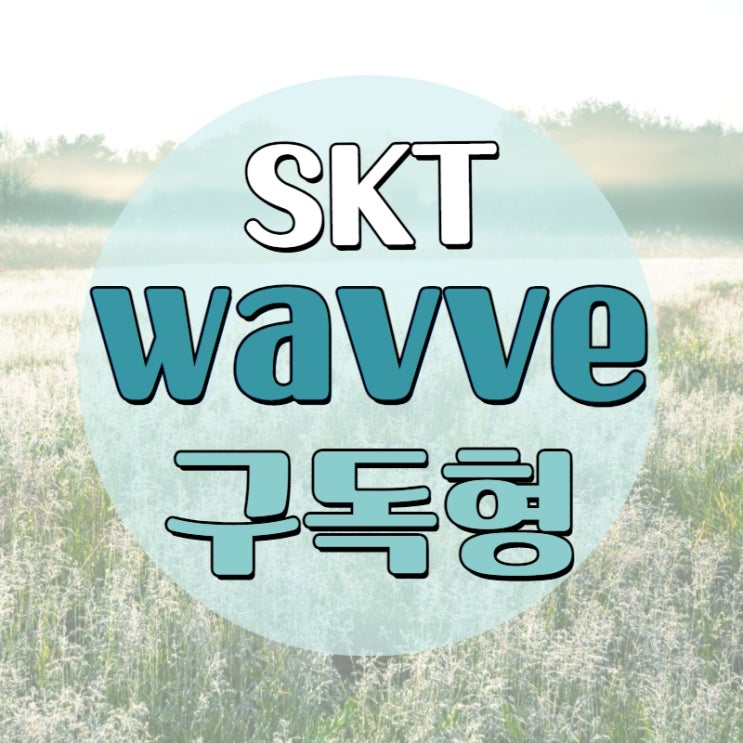 [SKT] wavve앤데이터, 플러스 가입,할인,혜택 정리 : 네이버 블로그