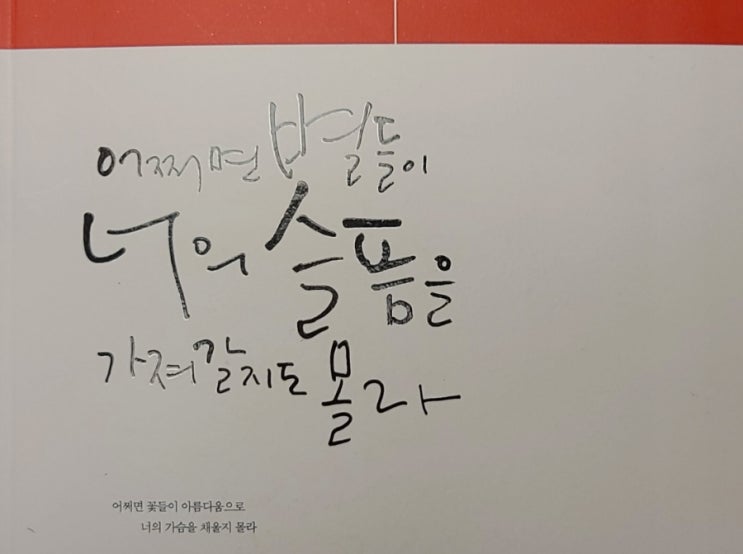 시집추천 어쩌면 별들이 너의 슬픔을 가져갈지도 몰라 김용택 네이버 블로그