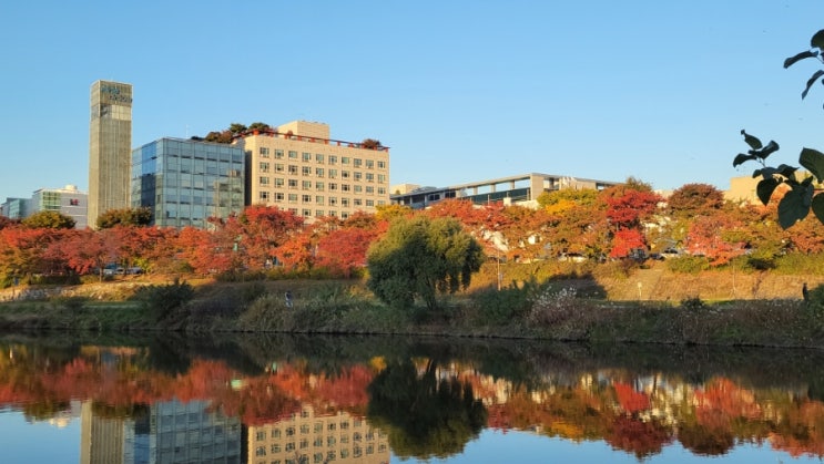 수학학원 창업 수학 교습소 창업을 준비하시는 분은 필독 수학 프랜차이즈 빨간펜 수학의 달인 11월 사업설명회 일정 용인