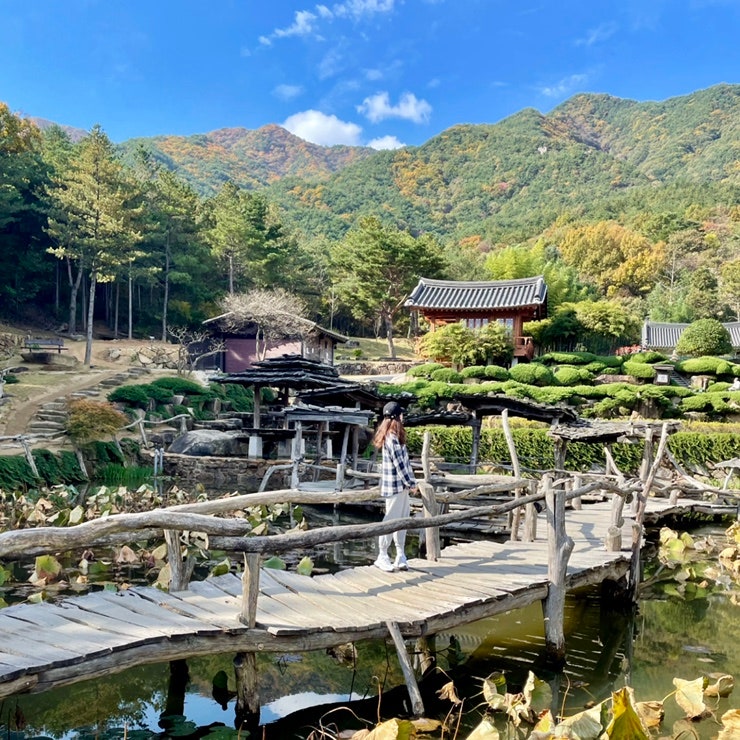 [산청]수선사,내리식당,카페 산청요 : 네이버 블로그