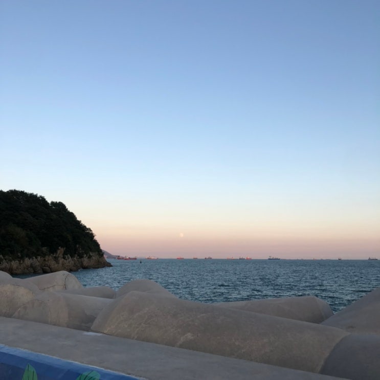 여수 당일치기 여행 여수 바다김밥여수낭만항게장🦀피읖카페🪴돌문어삼합🐙 네이버 블로그