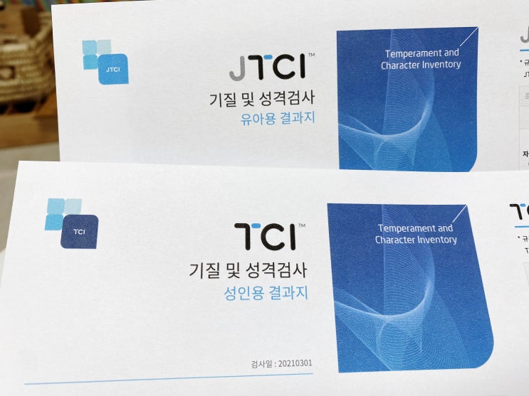 아이기질검사 부모와의 궁합 기질과 성격 알기 네이버 블로그