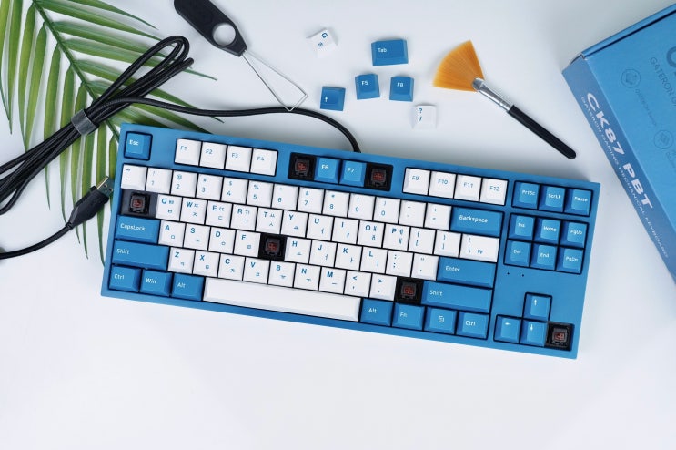 텐키리스 기계식 키보드, COX CK87 PBT 갈축 사용후기! : 네이버 블로그