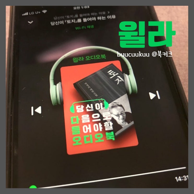맙소사 윌라 오디오북에서 토지 불멸의 역작을 듣는다고 미쳤다 책 읽어주는 어플 네이버 블로그