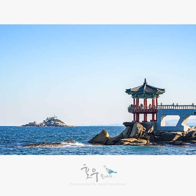 강원도 속초 가볼만한곳 영금정 동명항과 대포항 수산시장 그리고 먹거리 대게 맛집 네이버 블로그