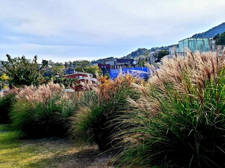 아빠의 거짓말 : 네이버 블로그