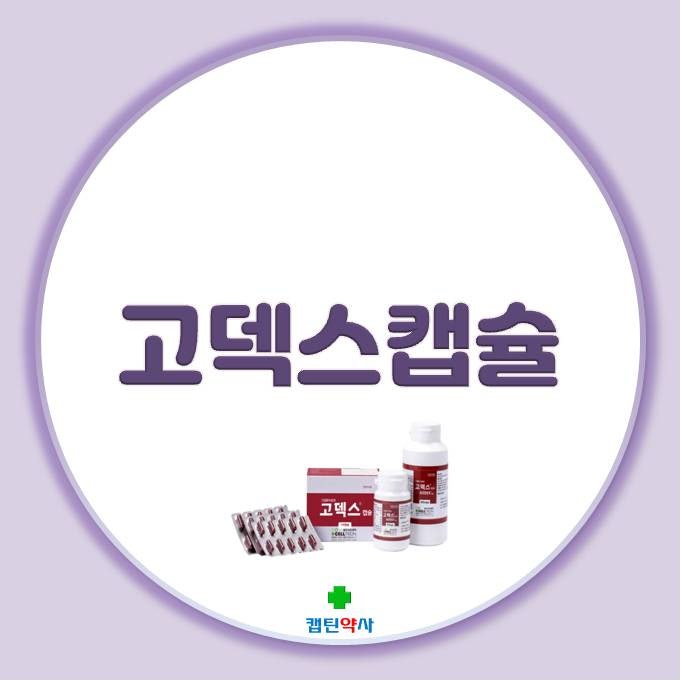 고덱스캡슐 고덱스 전문의약품 간장약 성분 효능 복용법 주의사항 부작용 등 Ft 셀트리온제약 가네진