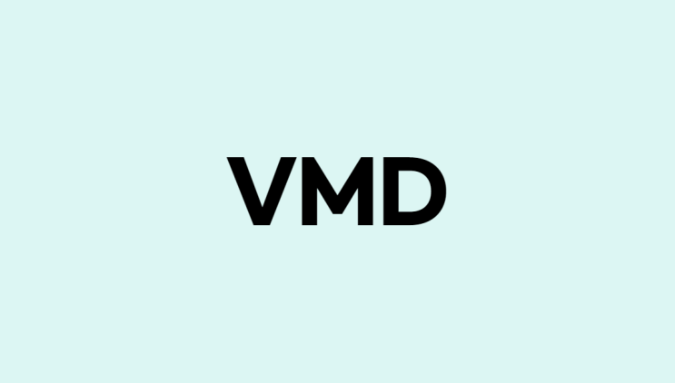 VMD 취업 조심할 점 : 많은 학생들이 속는 VMD 공고의 진짜 현실 (ft. 학원, 자격증) : 네이버 블로그