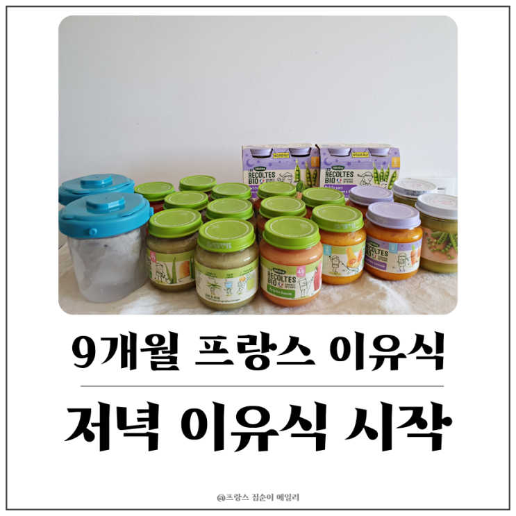 9개월 아기 저녁이유식 하루 4끼식 시작 한 달간 먹인 프랑스 시판 이유식과 엄마표 퓨레 네이버 블로그