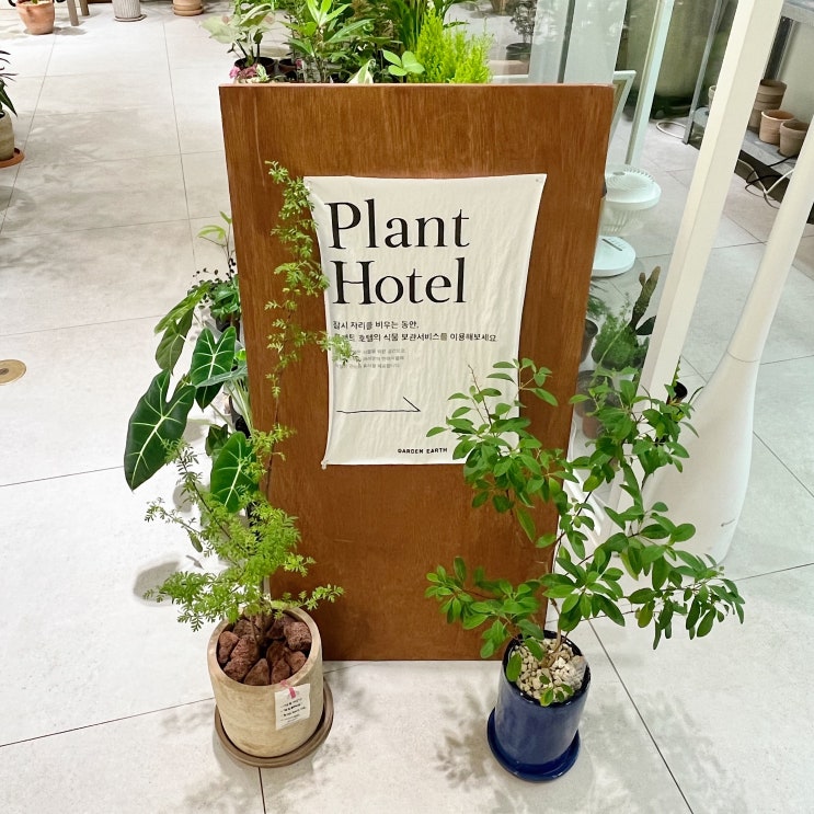 지구를 가꾸는 착한 브랜드 가든어스 (ak플라자 분당점/플랜트 호텔) : 네이버 블로그