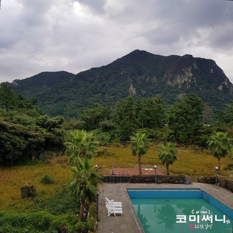 제주 서귀포 담모라 산방산 뷰 가성비 숙소리조트호텔 담모라 호텔 앤 리조트에서 일박 제주여행 4일차 네이버 블로그