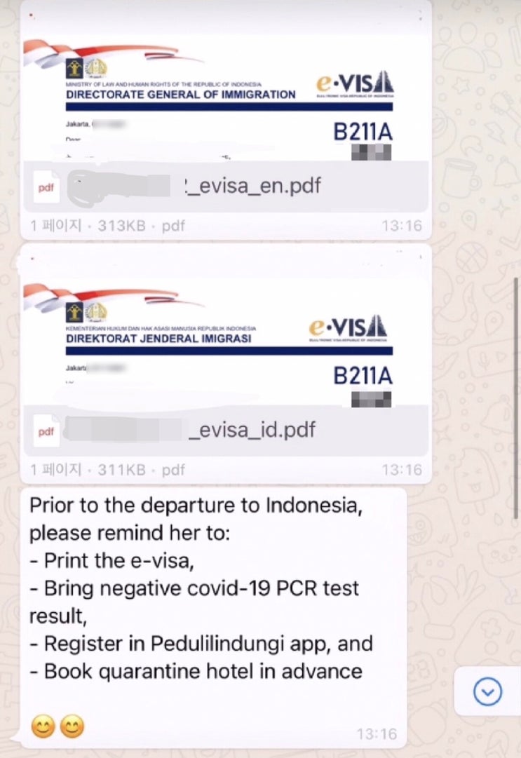 인도네시아 입국을 위한 B211A e-비자 발급 후기(내용추가) #발리여행 : 네이버 블로그