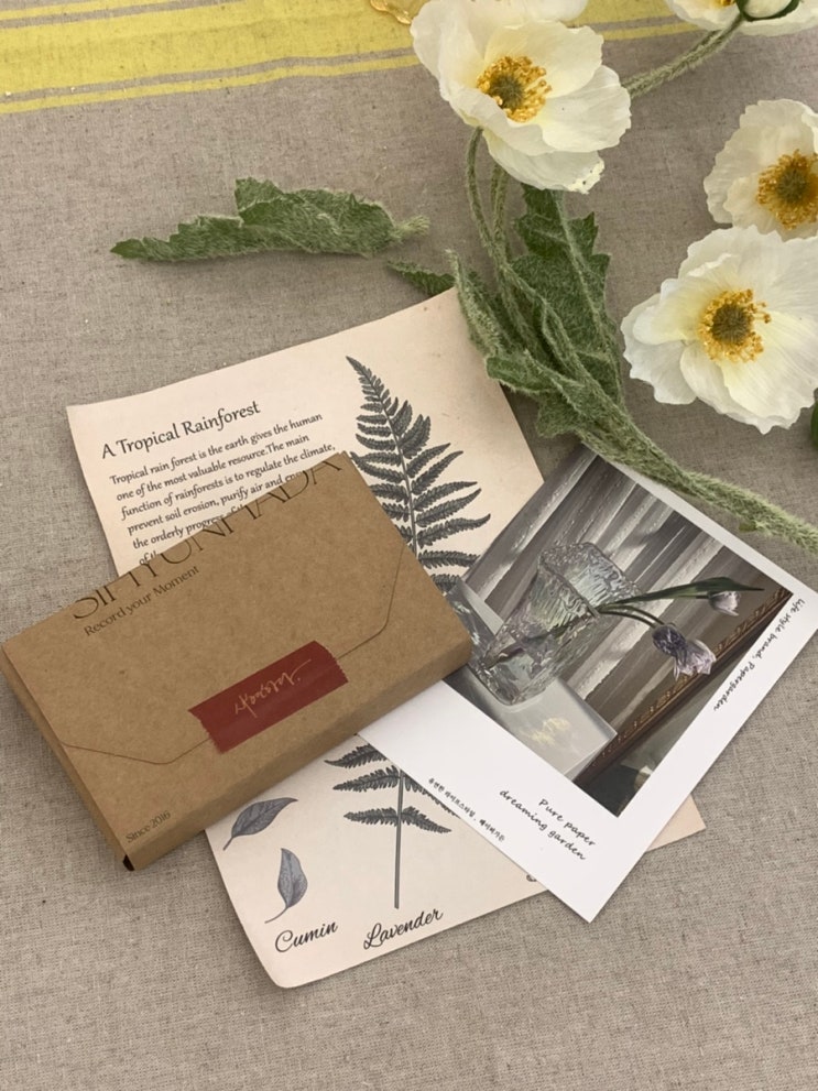 시현하다_신사점 | 경민작가님 | 증명사진 : 네이버 블로그