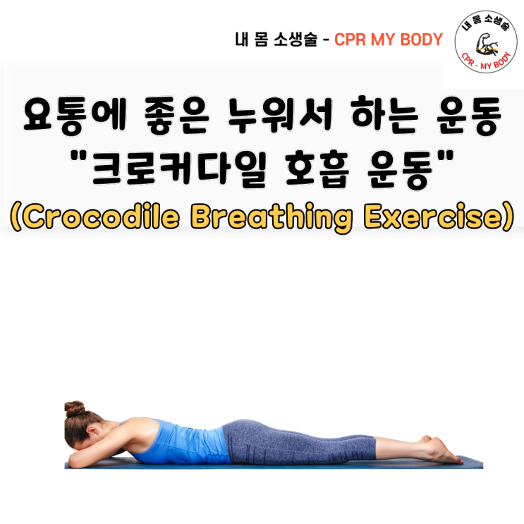 요통에 좋은 누워서 하는 운동 "크로커다일 호흡 운동 "(Crocodile Breathing Exercise) : 네이버 블로그