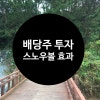 국내 미국 배당주 투자와 스노우볼 효과 배당주는 안전 자산인가복리투자 네이버 블로그