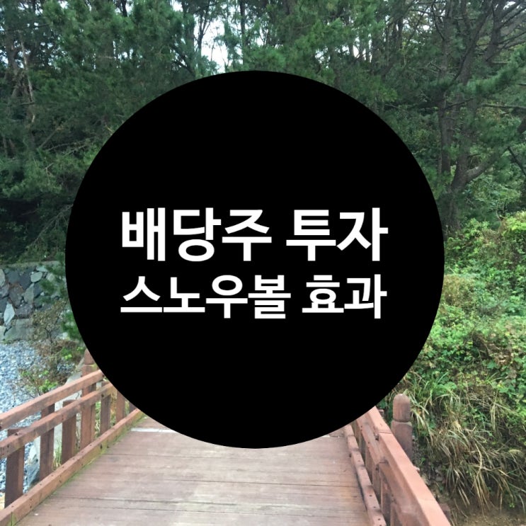 국내 미국 배당주 투자와 스노우볼 효과 배당주는 안전 자산인가복리투자 네이버 블로그
