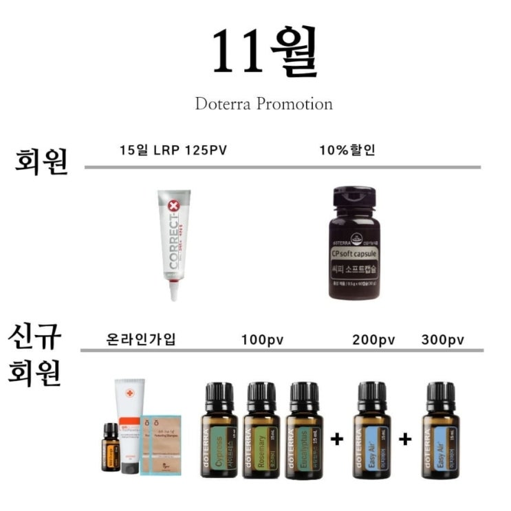 도테라신규가입선물 11월도테라 스마일도테라 김민우도테라 나눔도테라 감정오일테라피 분당도테라 성남도테라 정자동도테라 이룸도테라