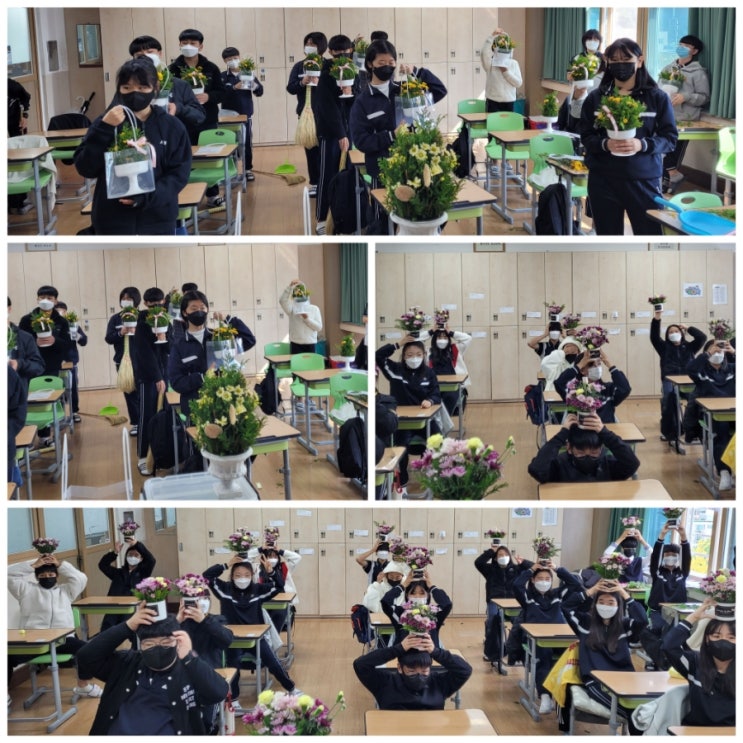 포항꽃집 포항최고꽃집 이동꽃집 지곡동꽃집 무대연출 웨딩 효자동꽃집 용돈박스 트렁크프로포즈 포토존 예단난 화분 네이버 블로그
