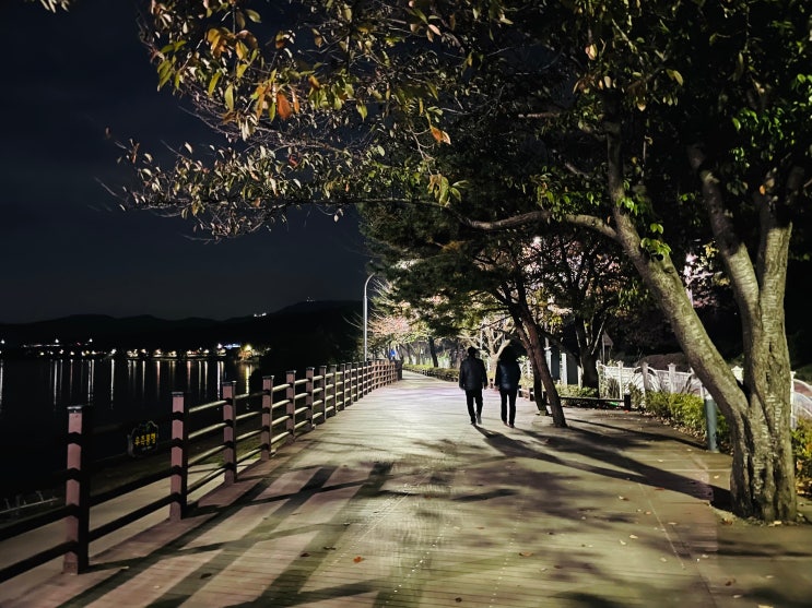 광교산 초보등산코스 따라 달리기 다이어트 산행반딧불이화장실 백년수 형제봉 문암골 광교저수지 반딧불이화장실 원점